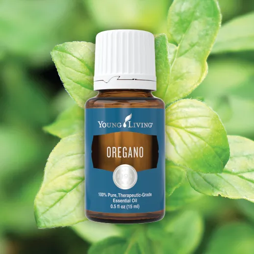 OREGANO YOUNG LIVING ESSENTIAL OIL 15ML , 2ML | Lazada PH