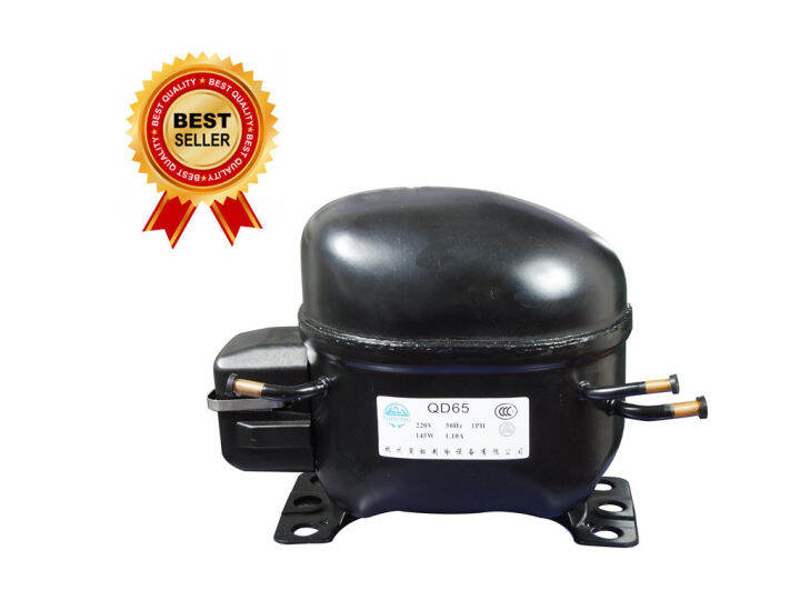 READY STOCK Refrigerator Compresser Motor Starting Running Common Gas ...