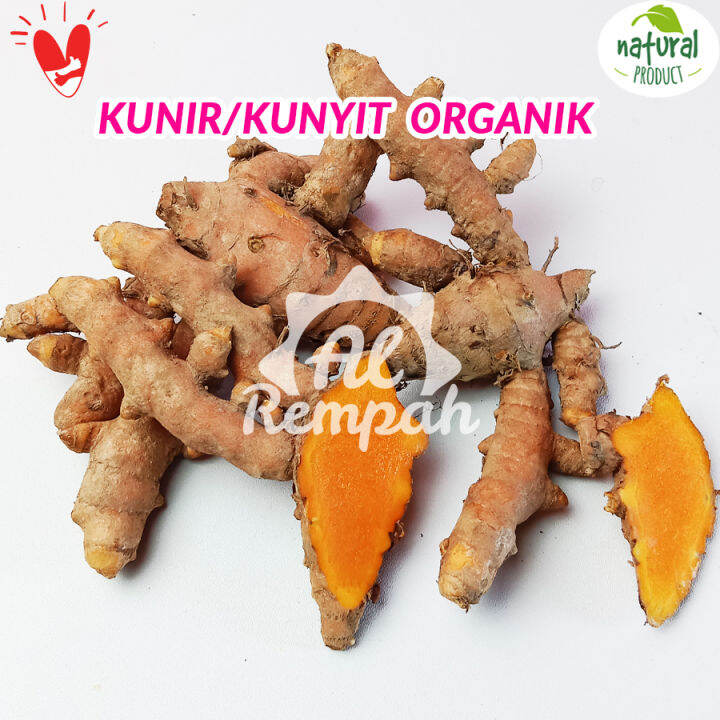 Kunir atau Kunyit Segar 500gr Organik - Asli Gunung | Lazada Indonesia