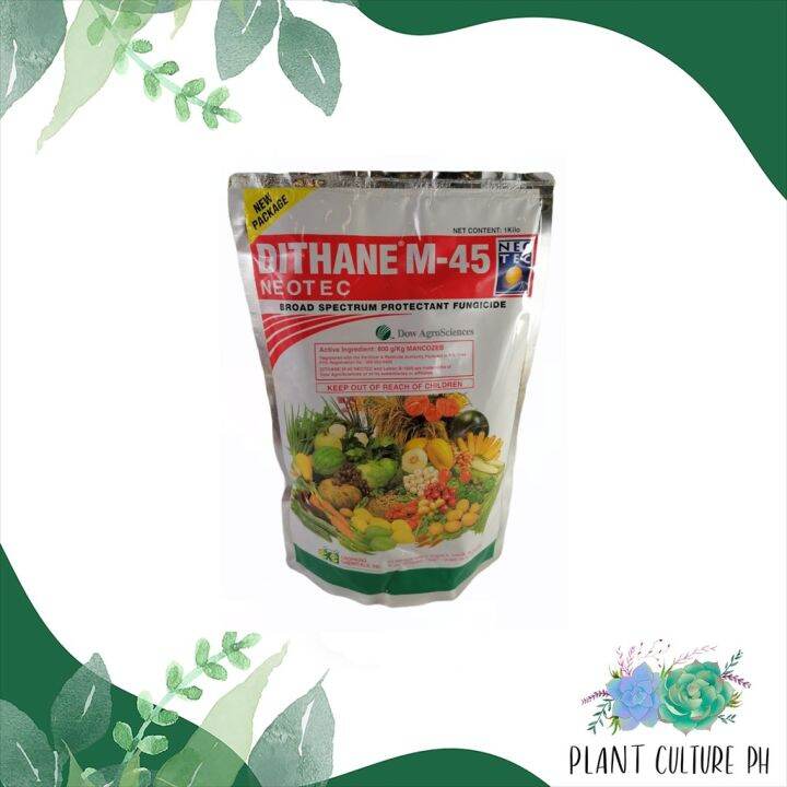 Neotec Dithane Broad Spectrum Protectant Fungicide M-45 1kg | Lazada PH