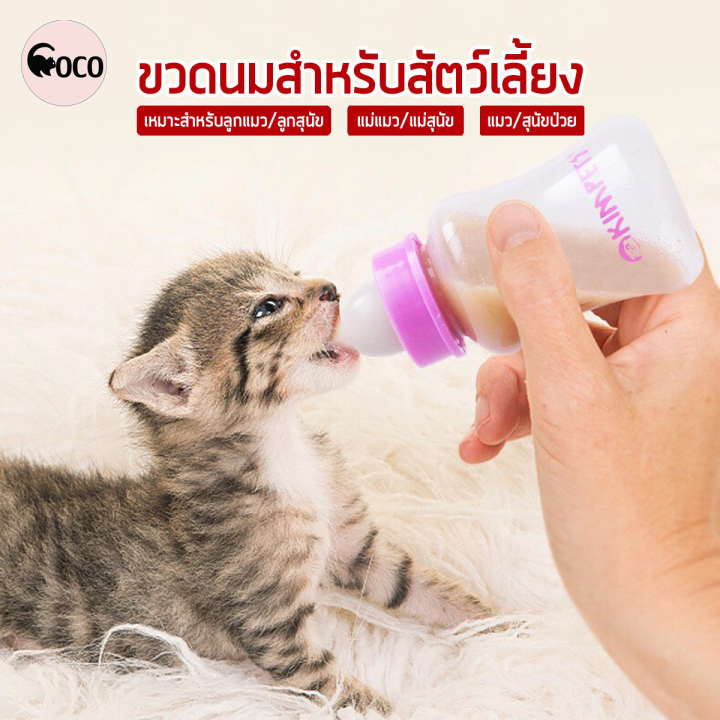 coco.pet ขวดนมลูกแมว ขนาด 5.5 x 14 cm. ปริมาณ 150 ml. ขวดนมสัตว์เลี้ยง ...