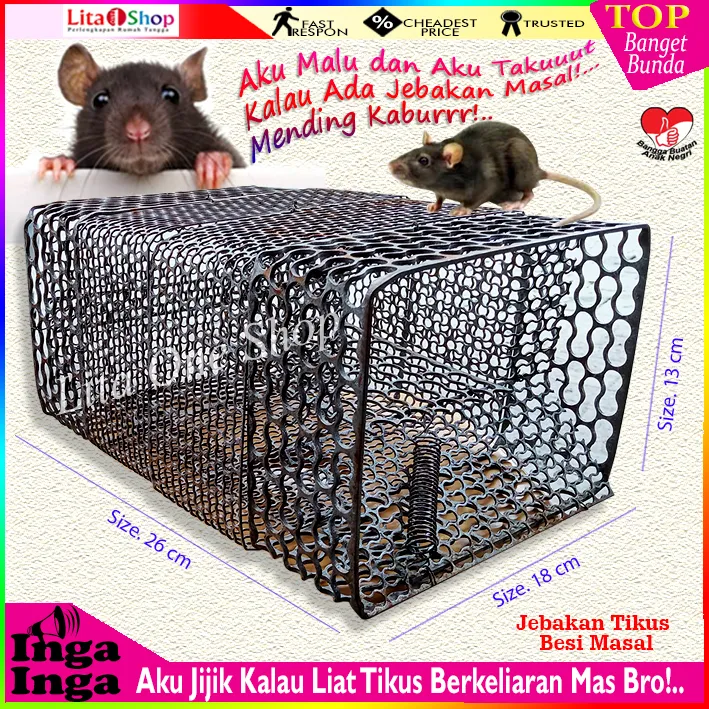 Kotak Jaring/Jebakan Perangkap/Kandang Tikus Masal/Mouse Trap Tebal ...