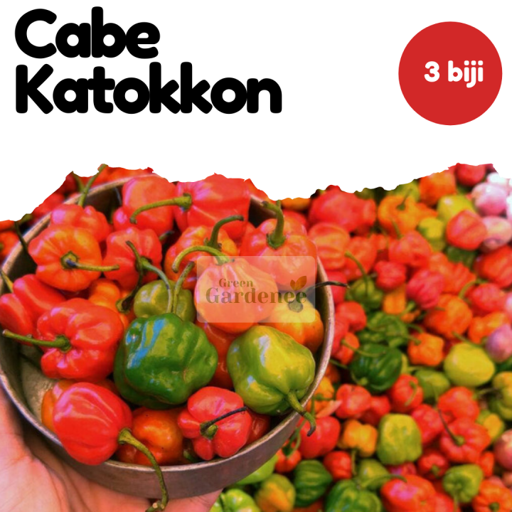 Benih Unggul Biji Bibit Cabai Cabe Katokkon atau Katokon Toraja ...