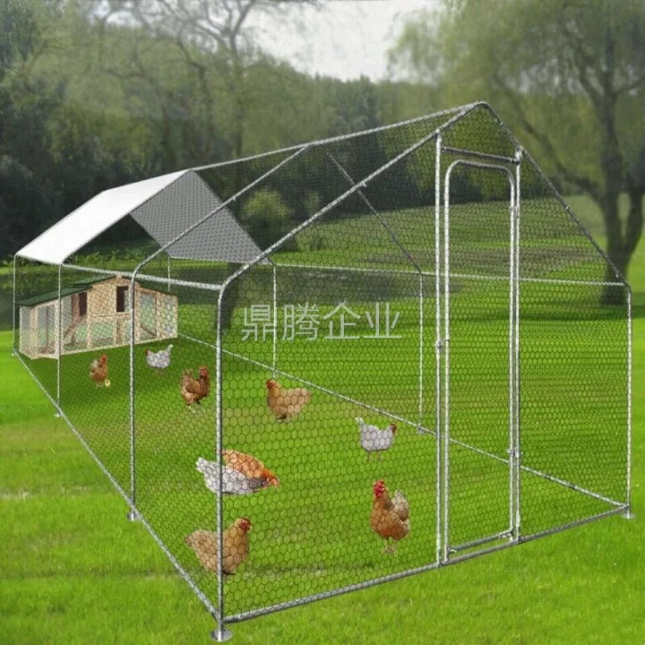 Large chicken shacks out simple steel structures breeding shed duck ...