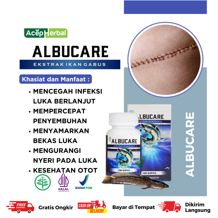 Albucare Untuk Mencegah Infeksi Luka, Mempercepat Penyembuhan Luka ...