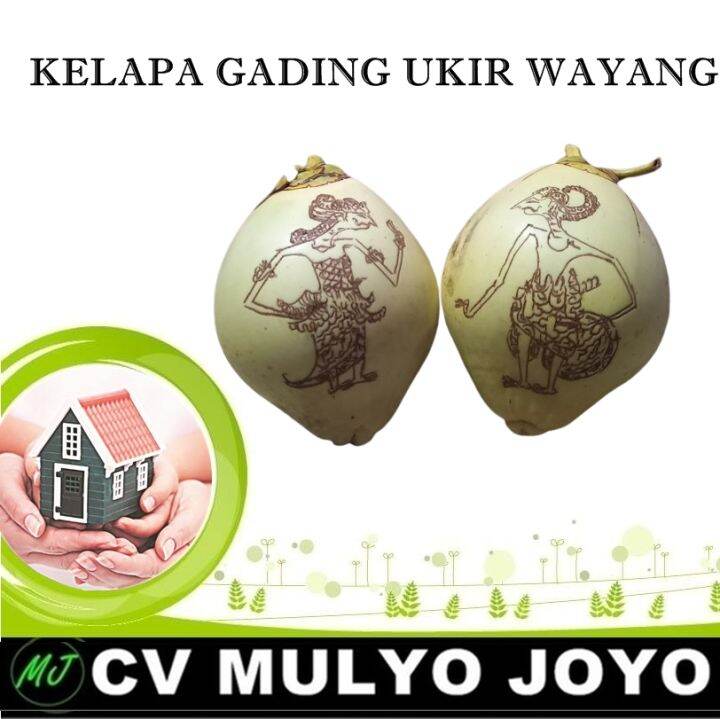 KELAPA GADING GAMBAR WAYANG 7 BULANAN TINGKEPAN | Lazada Indonesia