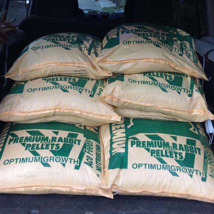 NUTRIBUNN PREMIUM (Grower) Rabbit PELLET / Rabbit FOOD 25KG | Lazada PH