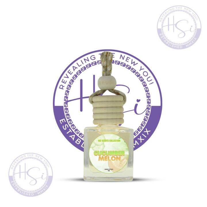 HSI Scents Collection Car and Room Hanging Diffuser Cucumber Melon 100% ...