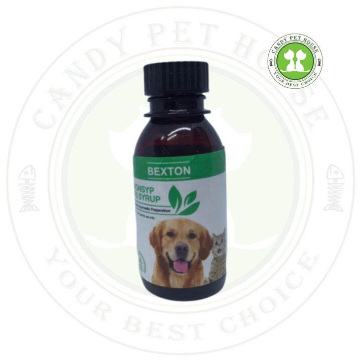 Bexton Bronsyp Syrup 100 ML | Lazada