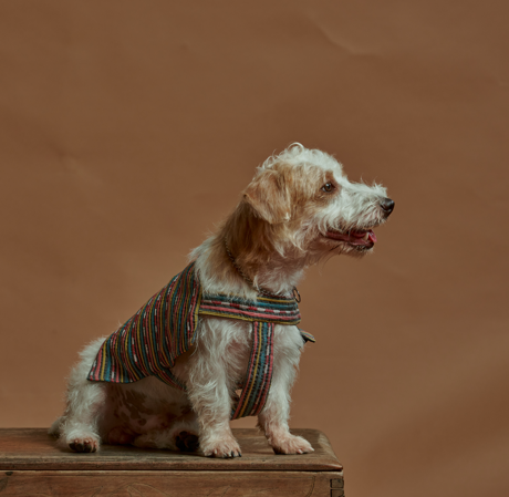 Fetch x Bayo: The Play Poncho | Lazada PH