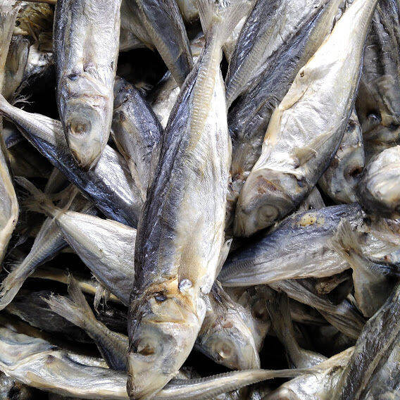 Ikan Asin Layang Dencis 1/2 Kg Khas Medan Alam Jaya | Lazada Indonesia