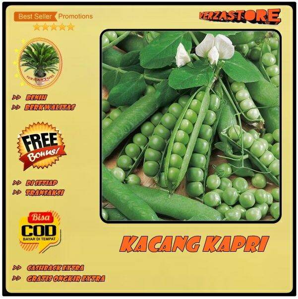 biji benih Kacang Kapri Taichung Benih Sayuran F1 Hibrida/ 10 biji ...