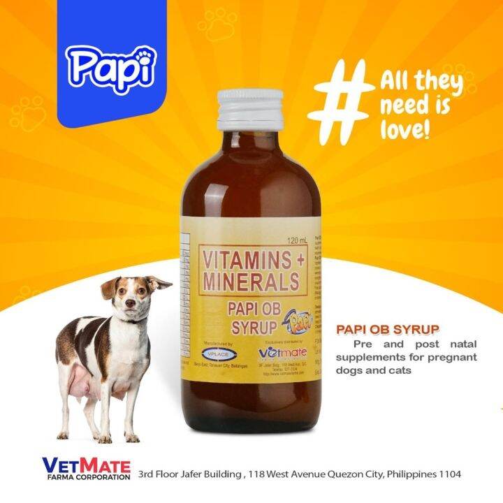 Papi OB Pregnant Pets 120ML | Lazada PH