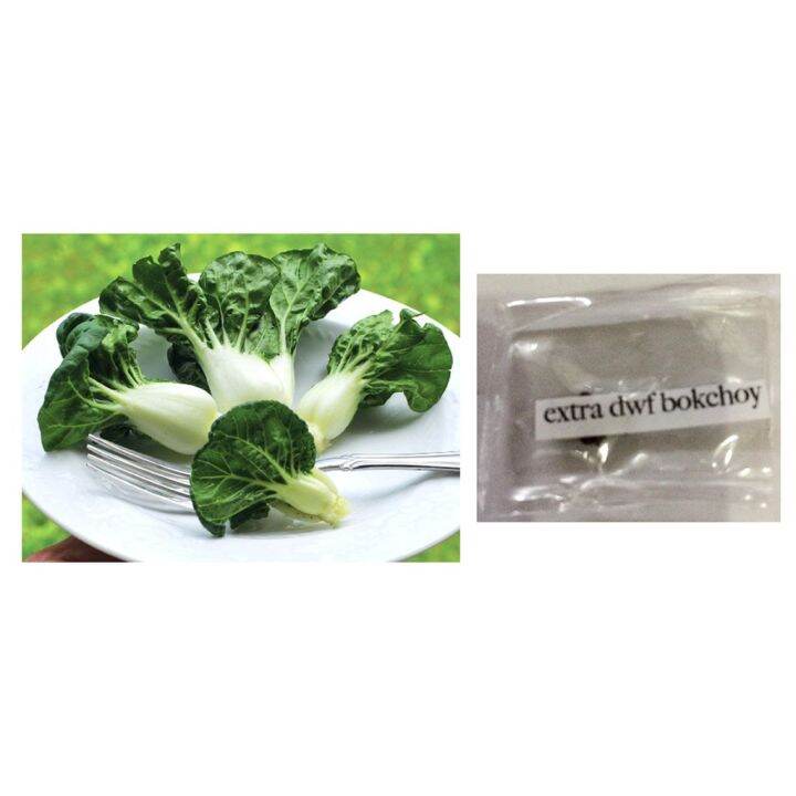 extra dwarf baby bok choy pak choi cabbage vegetable seeds 12seeds ...