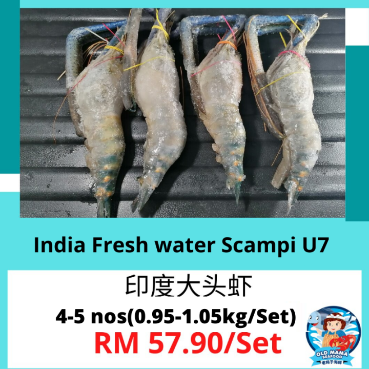 Promo Set - Freshwater Scampi / Udang Galah /大头虾 U7 (4-5nos/set) (0.95 ...