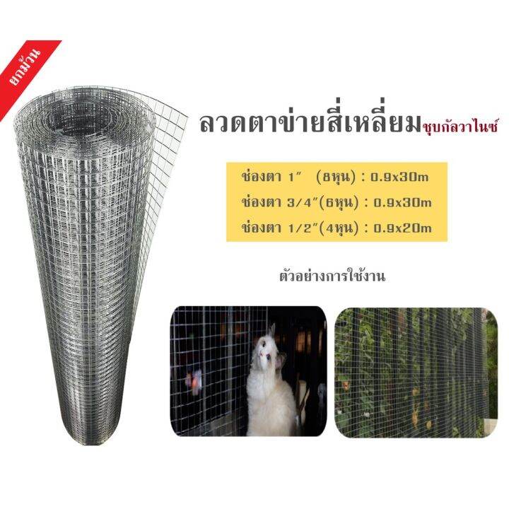 ( Pro+++ ) สุดคุ้ม ลวดตาข่ายสี่เหลี่ยมชุบกัลวาไนซ์(8หุน 6หุน 4หุน ...