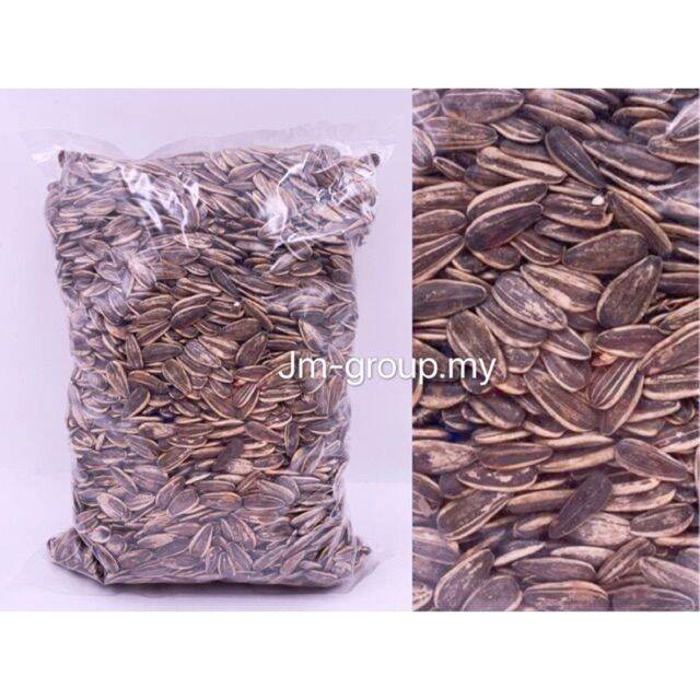Kuaci Bunga Matahari 1KG Sunflower Seeds | Lazada