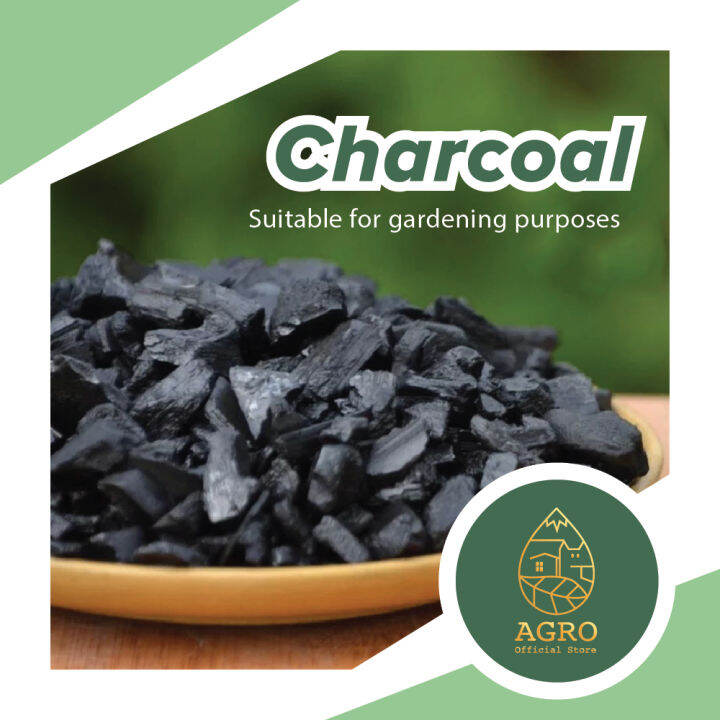 CHARCOAL ARANG ORKID 1KG Horticultural Charcoal BBQ Arang Kayu Activated Carbon Charcoal Bunga ...