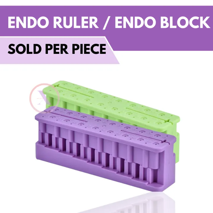 Dental Endo Block Ruler | Lazada PH