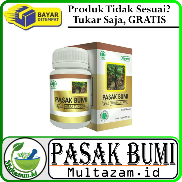 ( MULTAZAM.ID ) Obat Herbal Pasak Bumi HIU 60 Kapsul | Herbal Pasak ...