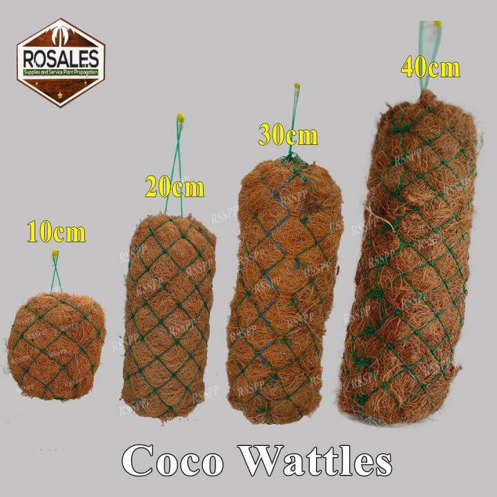 Coco Fiber Wattles (10cm - 40cm) Supports Healthy Growth of Orchids and ...