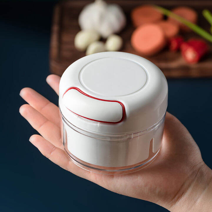 Kolan Mini Food Chopper Hand Pull Garlic Grinder Onion Ginger Masher ...