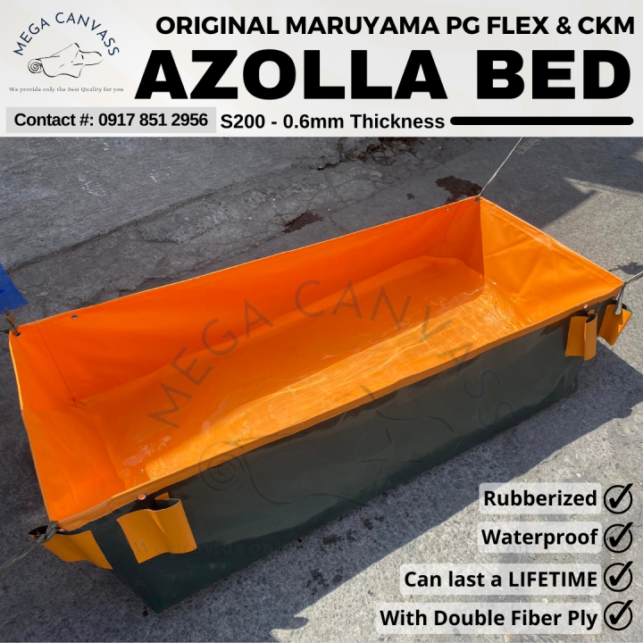 4x7x1 AZOLLA & TRAPOND! Original Maruyama Pg Flex & CKM S200. Azolla ...