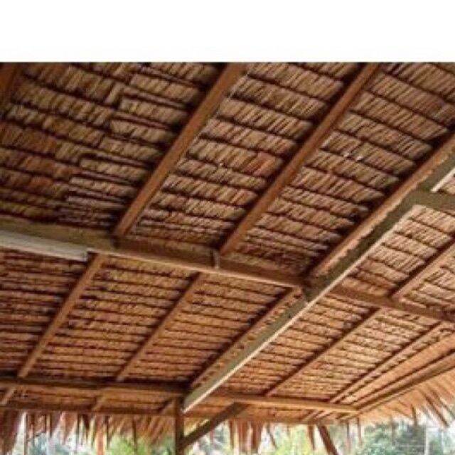 Ready Stock🍃ATAP NIPAH LEAF 🍃 ATAP🍃LOCAL Product🍃READY STOCK🚛🚛🚛 | Lazada