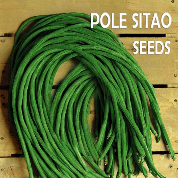 SItao Seeds ( Yardlong Pole Sitao Verdana seeds) Sitaw 15 seeds/pack | Lazada PH