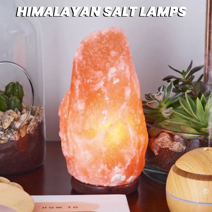 Himalayan Salt Lamp 2-3kg with dimmer switch and bulb | Lazada PH