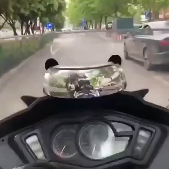 NEW Universal Motorcycle 180 Degree Holographic Wide angle Rear View ...