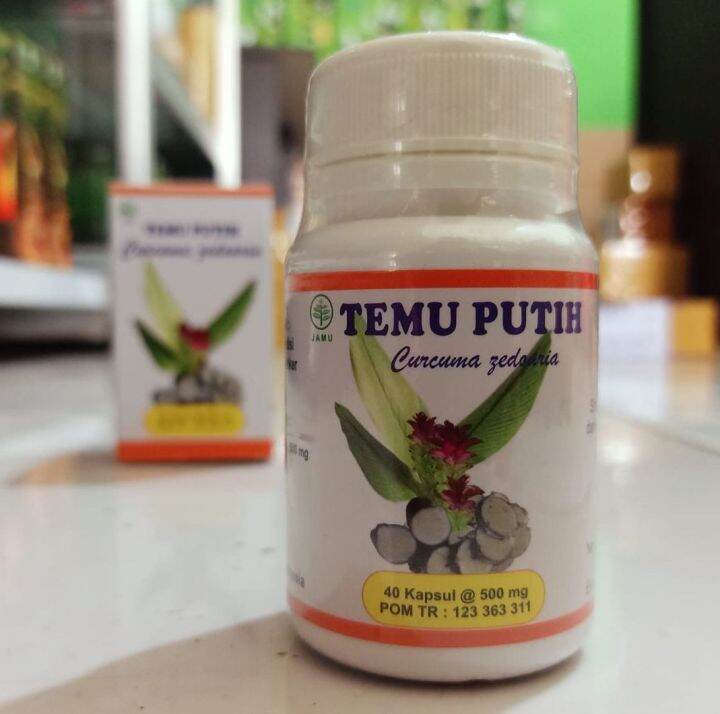 Temu putih Herbal Insani 40 kapsul Obat Herbal tradisional Untuk kanker ...
