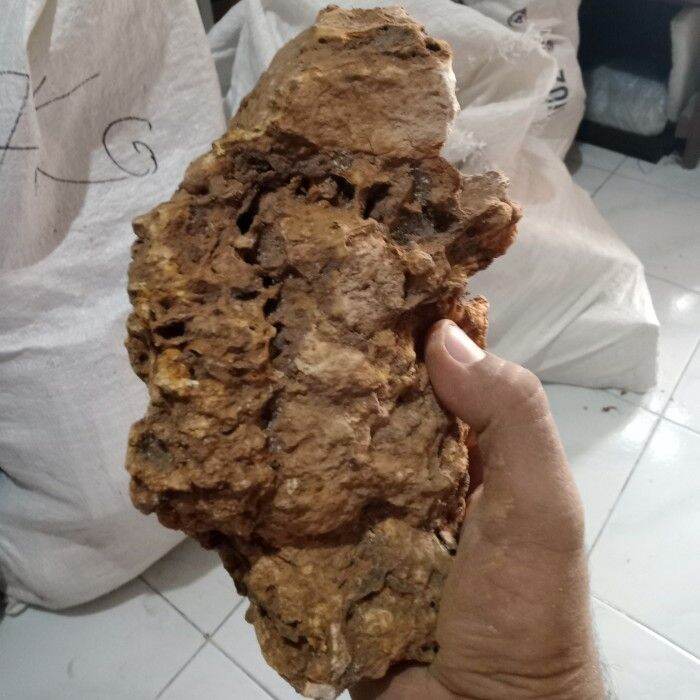batu Moris | batu sarang ular aquascape 1 kg | Lazada Indonesia