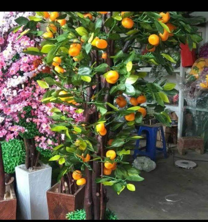 POHON JERUK - CERI - APEL HIASAN RUANGAN ARTIFICIAL TINGGI 80 CM RIMBUN ...