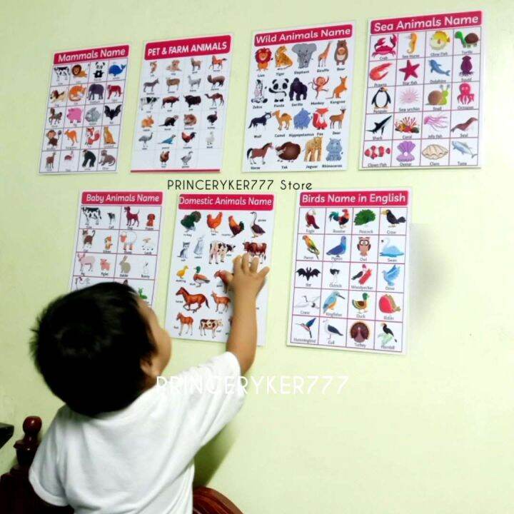 Educational Animals Chart - Laminated A4 Size, Educational Wall Chart ... Educational Animals Chart - Laminated A4 Size, Educational Wall Chart ...