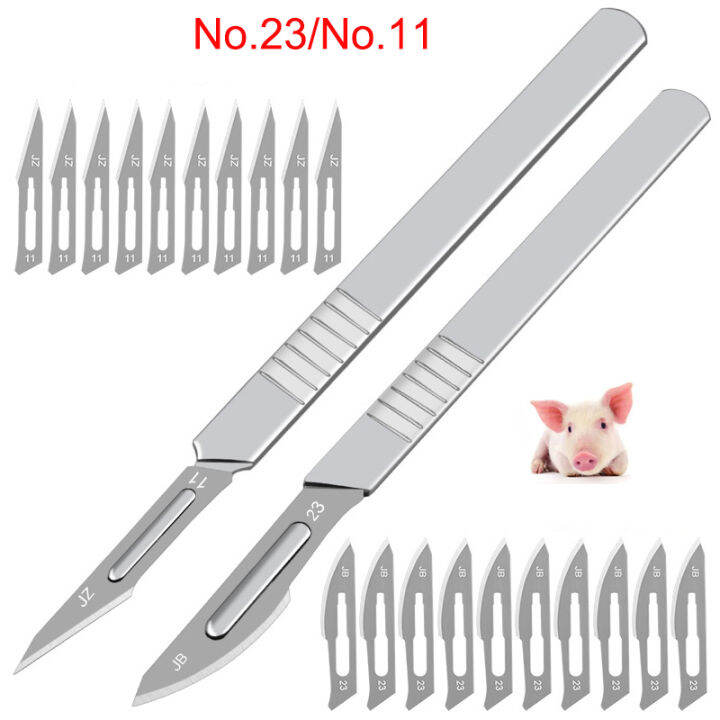 No.23/No.11 Stainless Piglet Castration Tools Knife Handle with Blade Castration Tools for Pig ...