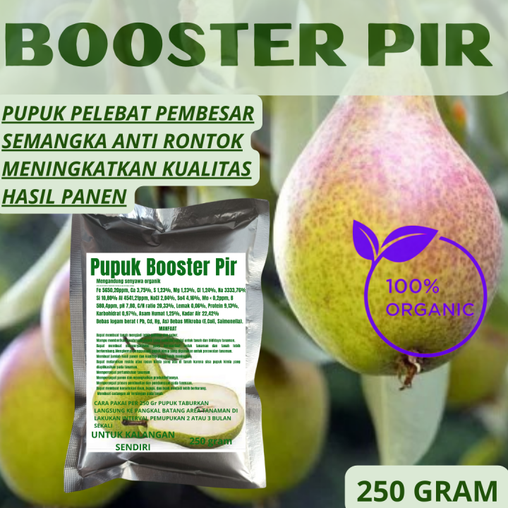 Pupuk Booster Pelebat Buah Pir Organik / Pupuk Pir Pemacu dan Pelebat Perangsang Buah Pir ...
