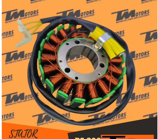 KTM Stator / Magneto for Duke/RC 390 and 200 Kawasaki Dominar Rouser ...