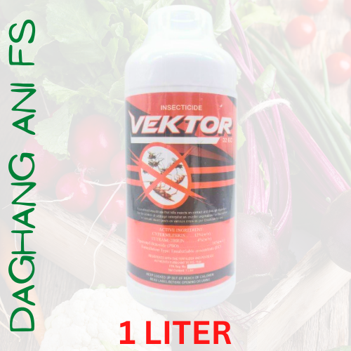 VEKTOR INSECTICIDE 1 LITER house pest killer ants cockroaches, flies ...
