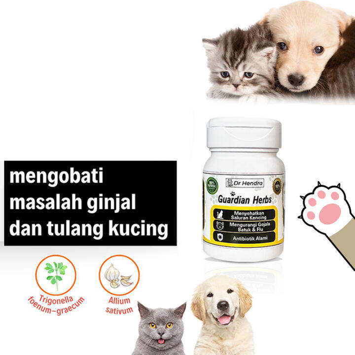 Gaya baru Vitamin Kucing Guardian Herbs Vitamin Tulang Kucing Obat ...
