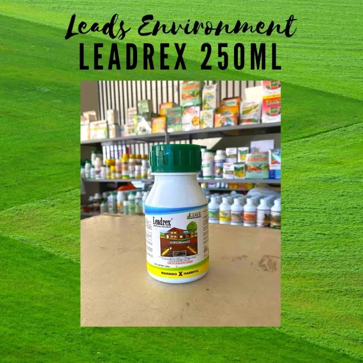 Leads Agri LEADREX Termiticide ANTI- ANAY 250ml | Lazada PH