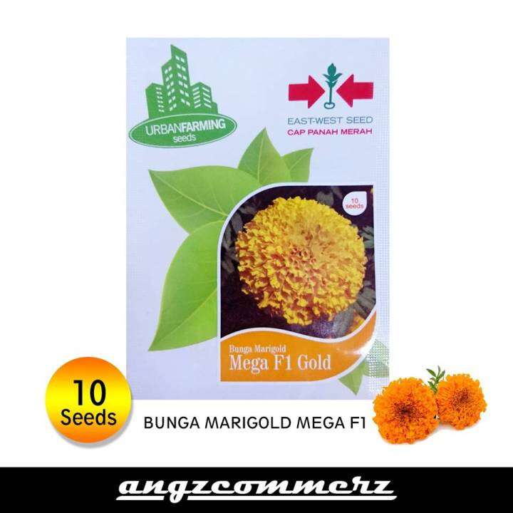 PANAH MERAH Bunga Marigold Mega F1 Gold 10 Seeds | Lazada Indonesia