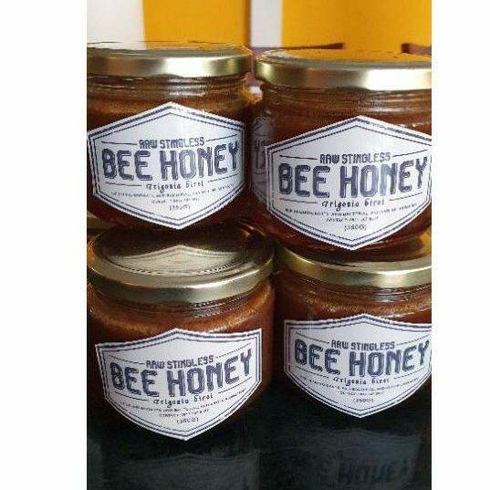 350g Pure Honey from Stingless Bees / stingless bee honey | Lazada PH