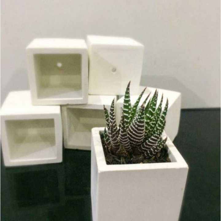 mini pot sekulen kotak segi empat | Lazada Indonesia