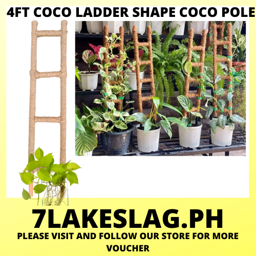 COCO LADDER 4FT POLE / COCO POLE FOR PLANT PVC AND COCO FIBER | Lazada PH