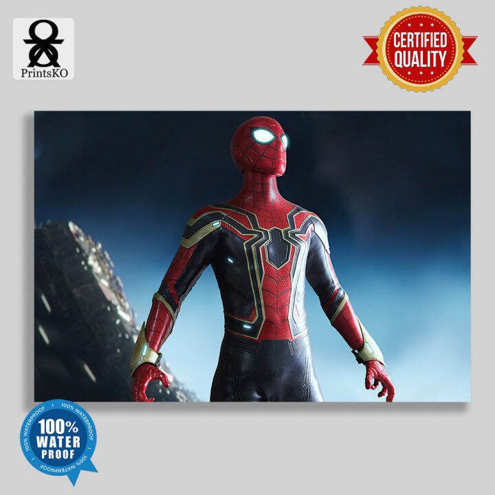 High Quality Tarpaulin / Tarp with Spiderman - Spider Man Design ...