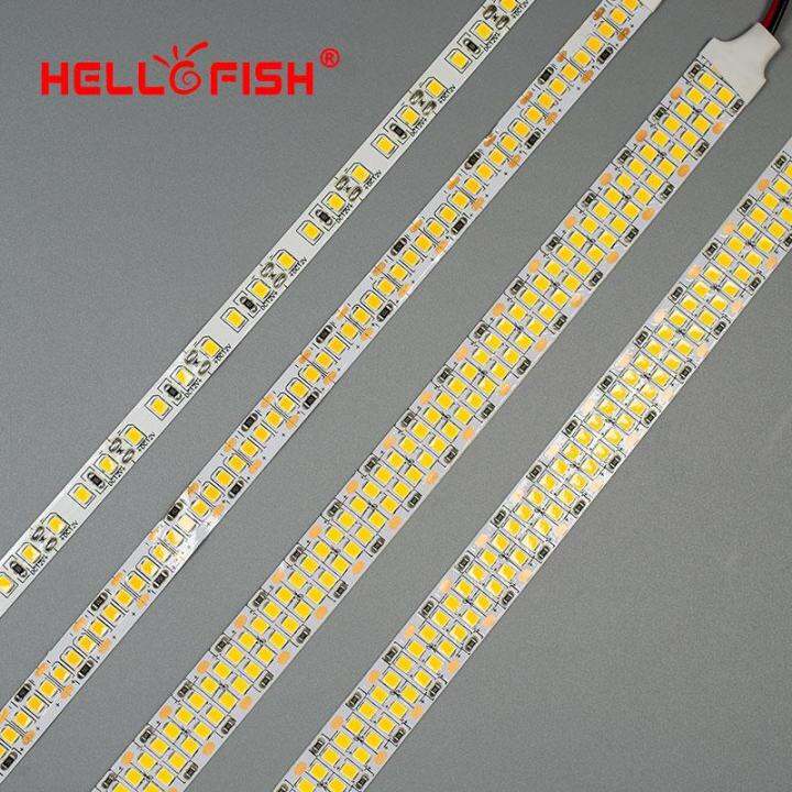 Led Strip LED Strip Light 2835 12V SMD 600 1200 2400 LED Chips LED Tape ...