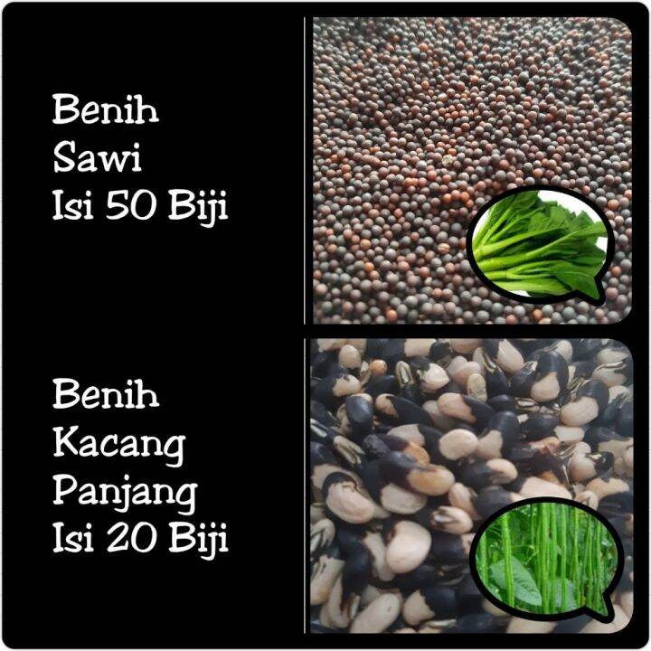 [Ufairah] Coba-coba4, Paket Hemat Benih Sawi dan Kacang Panjang, Cocok ...