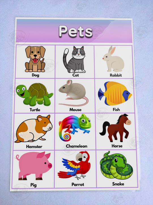 Pets Laminated Educational Chart (A4) Mga Alagang Hayop Wall charts for kids | Lazada PH