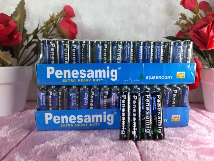 PENESAMIG EXTRA HEAVY DUTY AAA BATTERY ( 60 PCS) (BUY 2 GET 1 FREE ...